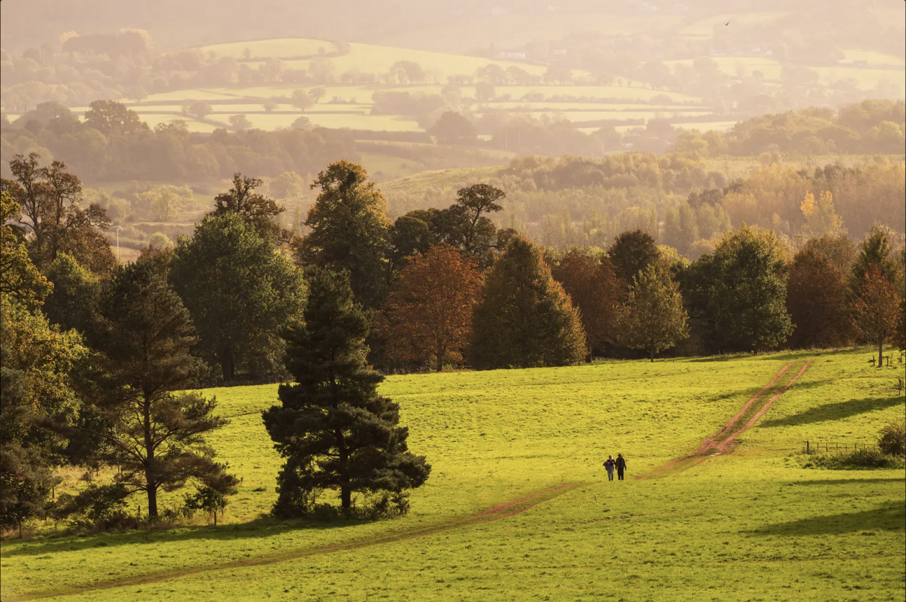 Our news - Collington Capital