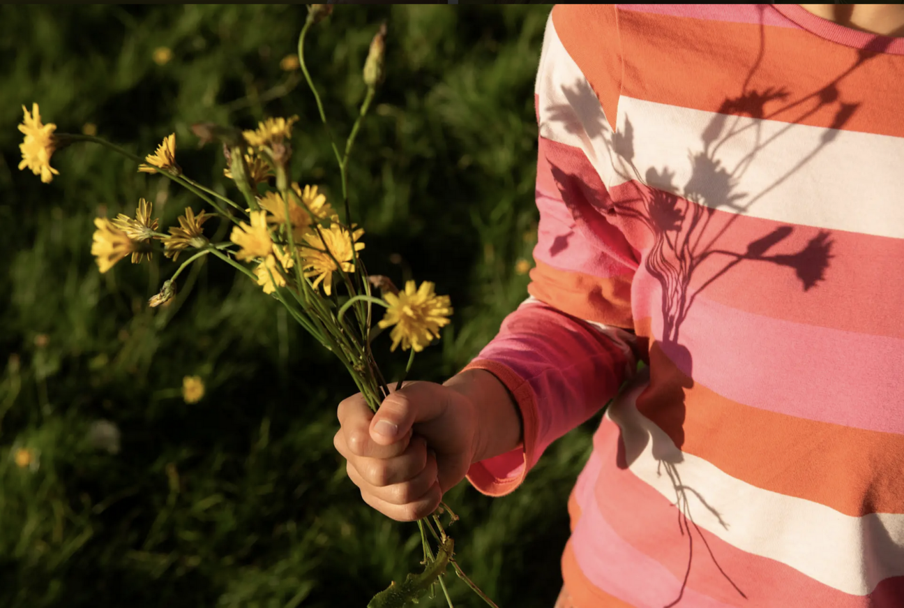 Our partners - Collington Capital