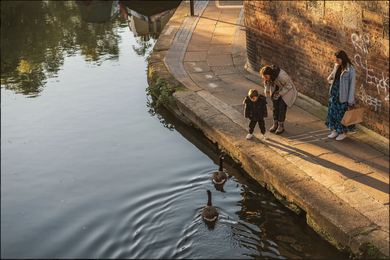 The Harriet Collington Foundation - Collington Capital